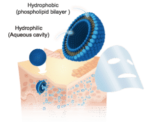 Skincare ‎Products Manufacturer for Private Label | TCI