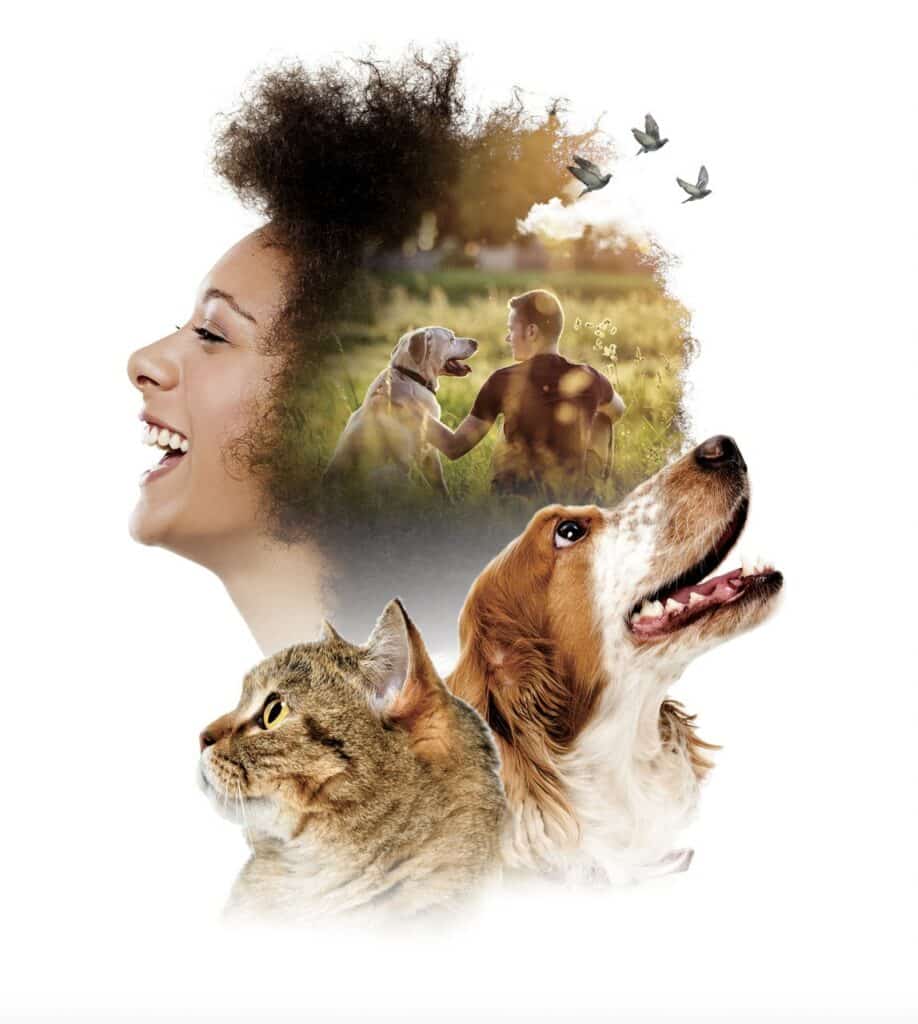 Our Company | TCI-Private Label Supplement/Skincare Manufacturer