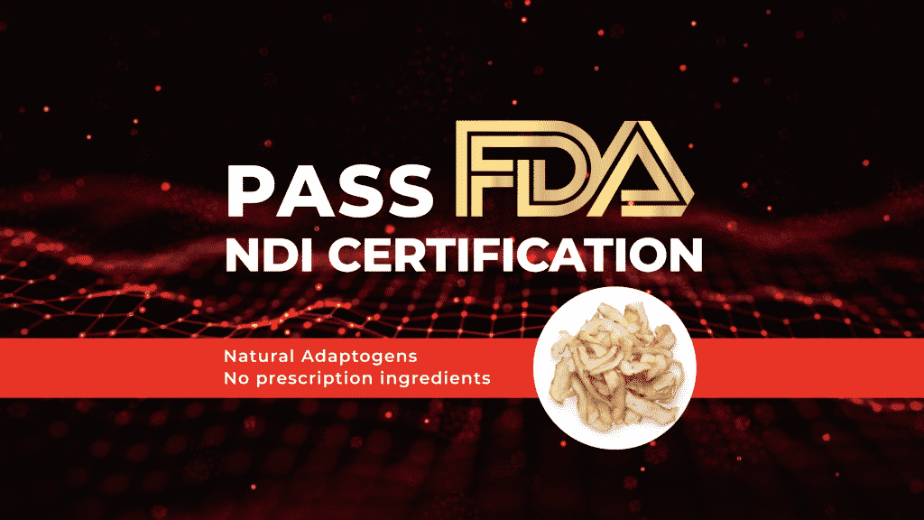 Patented Polygonatum kingianum Extract Passed US FDA NDI certification