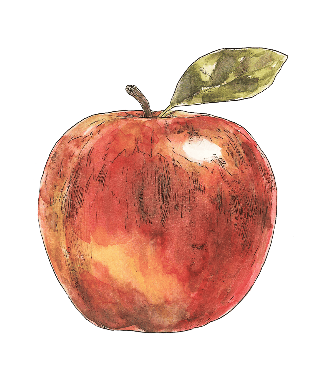 What unique raw material stories does TCI possess? | TCI-Private Label Supplement/Skincare ...