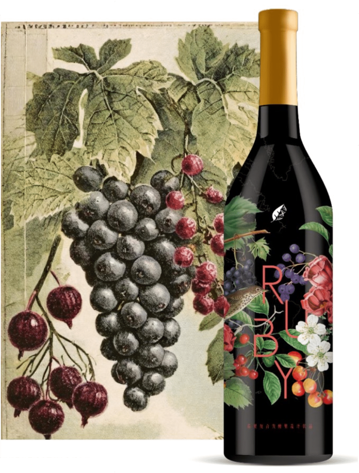 BOTANIST | TCI-Private Label Supplement/Skincare Manufacturer